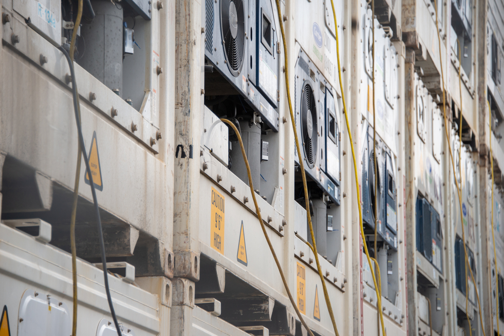 2026 Seasonal Storage: Refrigerated Containers for Peak Demand
